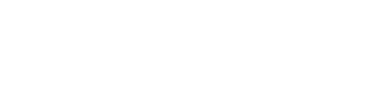Global Executive Search Firm | Horton International